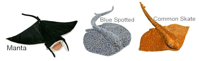 Sunny Ray Puppets - NP8128ind